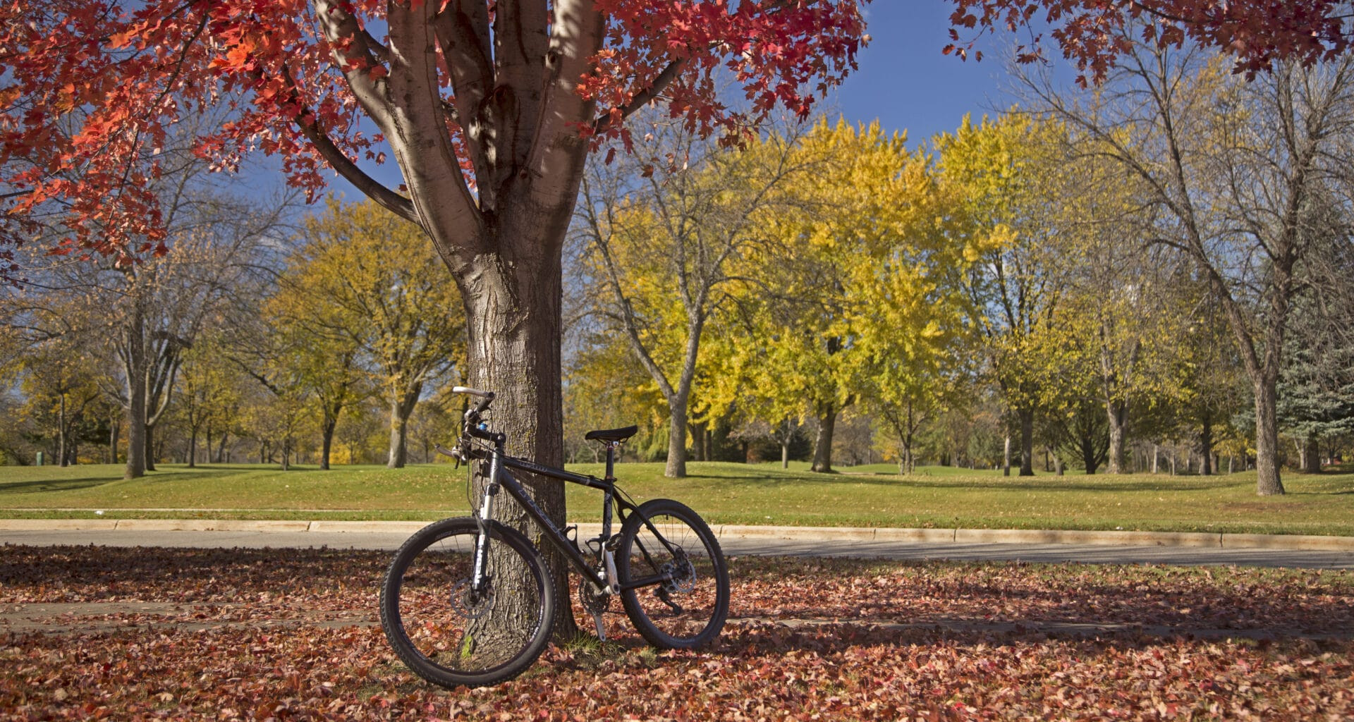 Marshall Bike Share Program
