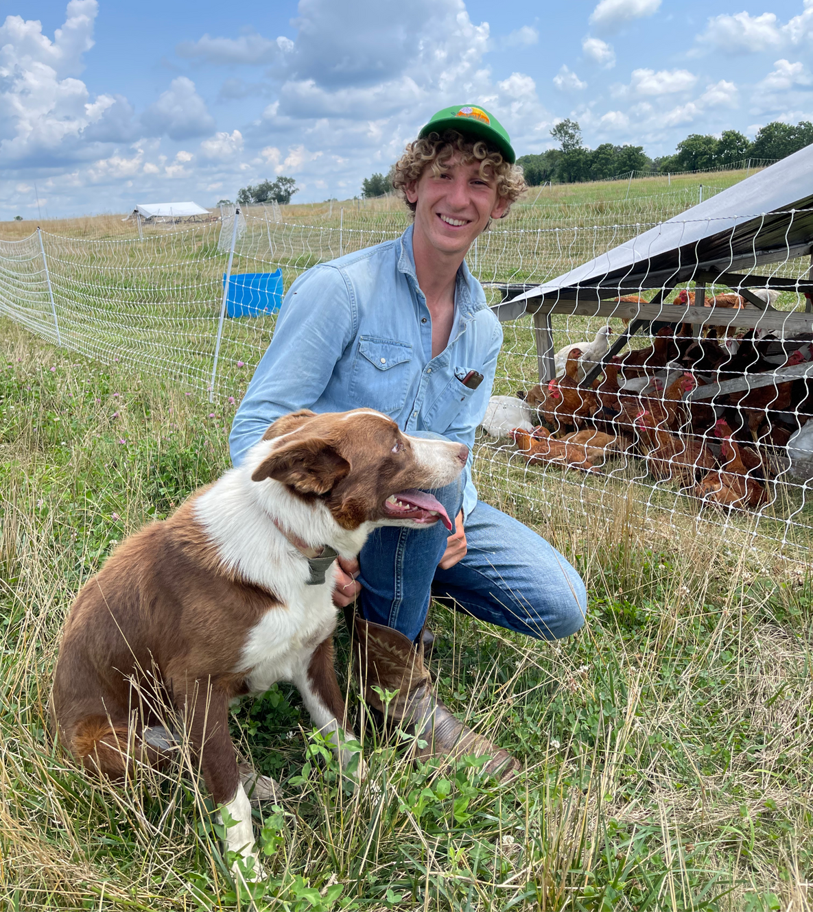 Quirk Farms | pasture raised chicken | 165 Marlton Road, Pilesgrove, NJ ...