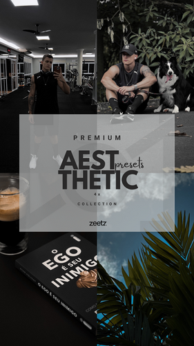 Aesthetic Presets Collection - Zeetz | zeetz