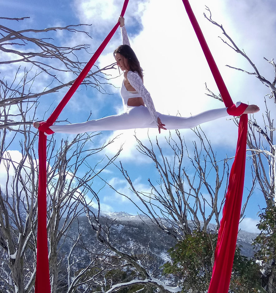 Aerial Performers and Aerial Riggers | Dreamscape Aerial Rigging - Sydney