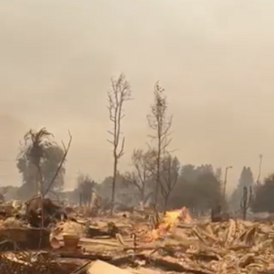 Surviving the 2017 NorCal Wildfires – Will’s Story