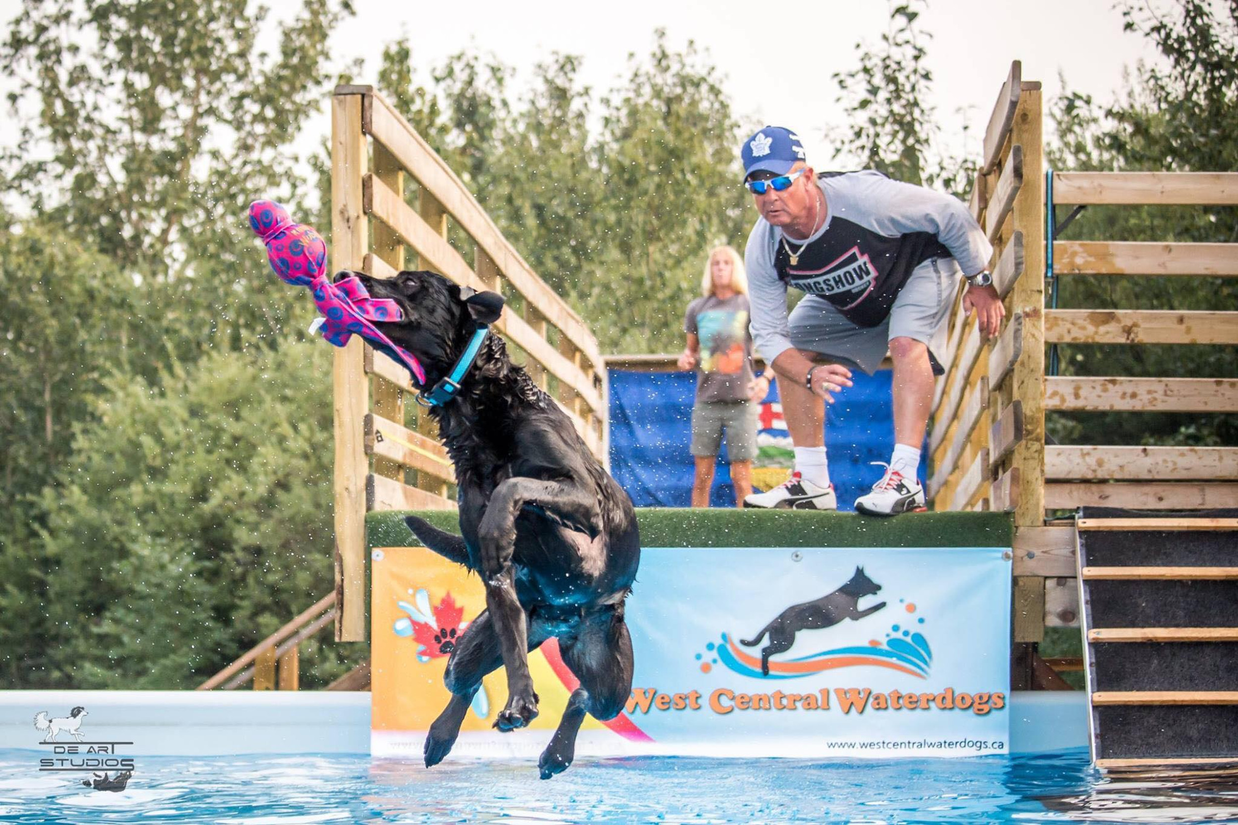 14 Exciting Events to Look Forward to in Edson & Area this June