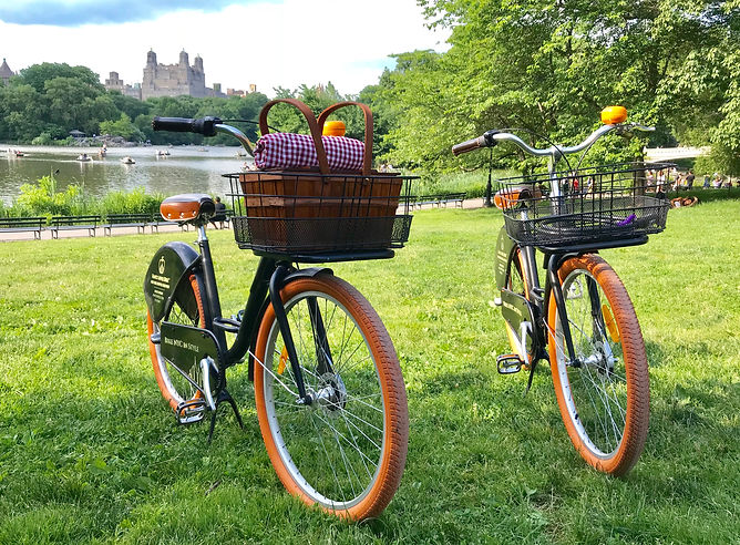 Bike and Picnic in Central Park