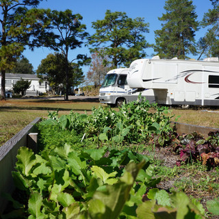 Photo Gallery | Eden RV Resort | Hudson, FL