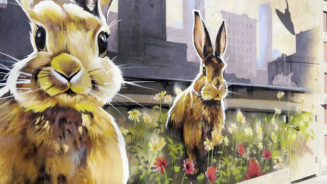 Why does the R&R Head Labs Team say "Rabbit, Rabbit" at the beginning ...