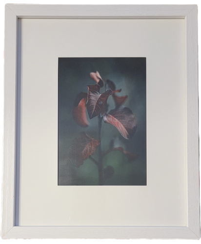 Bitten 5x7 #026 Original | Josh Relic