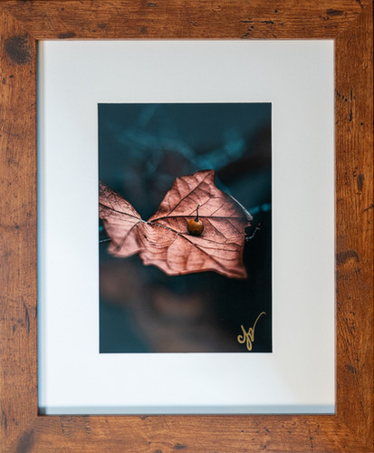 Survival #031 5x7 Original | Josh Relic
