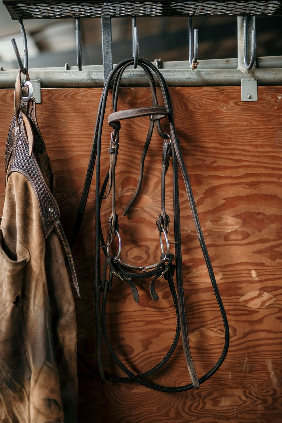 Our 7 favorite bits to use at home- when and why!