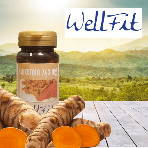 Wellfit | Curcumin 250 mg - 60 Kapseln