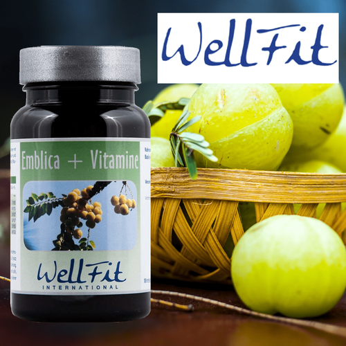 Wellfit | Emblica Plus - 60 Kapseln