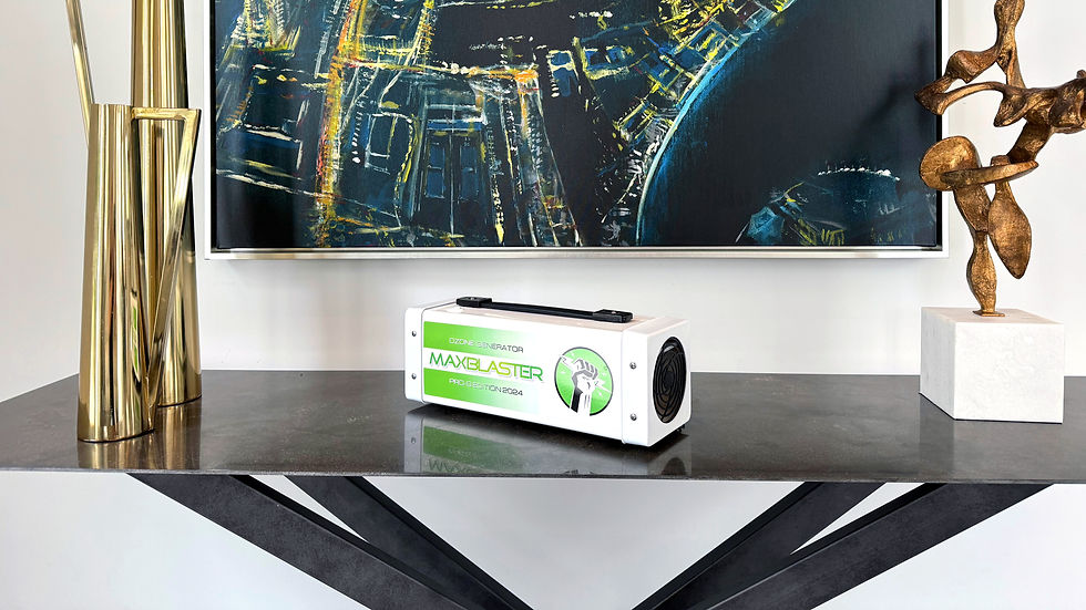 Gallery | MaxBlaster Ozone Generators | USA