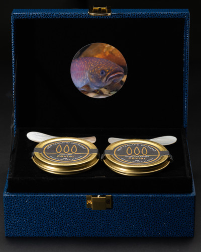 Caviar Club Show Box: Indulge in Luxury with Caviar Gift Set