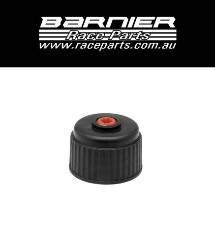 VP RACING FUELS UTILITY MOTORSPORTS CONTAINER - CAP | BRP