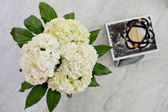 Bellman Living Room Design | Sarah St.Amand Interior Design