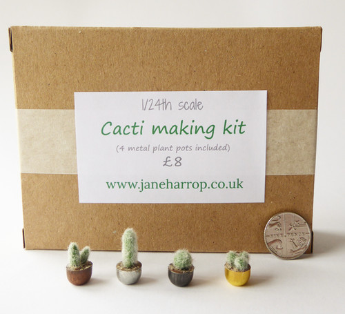 1/24th Scale Cacti Making Kit | Jane Harrop
