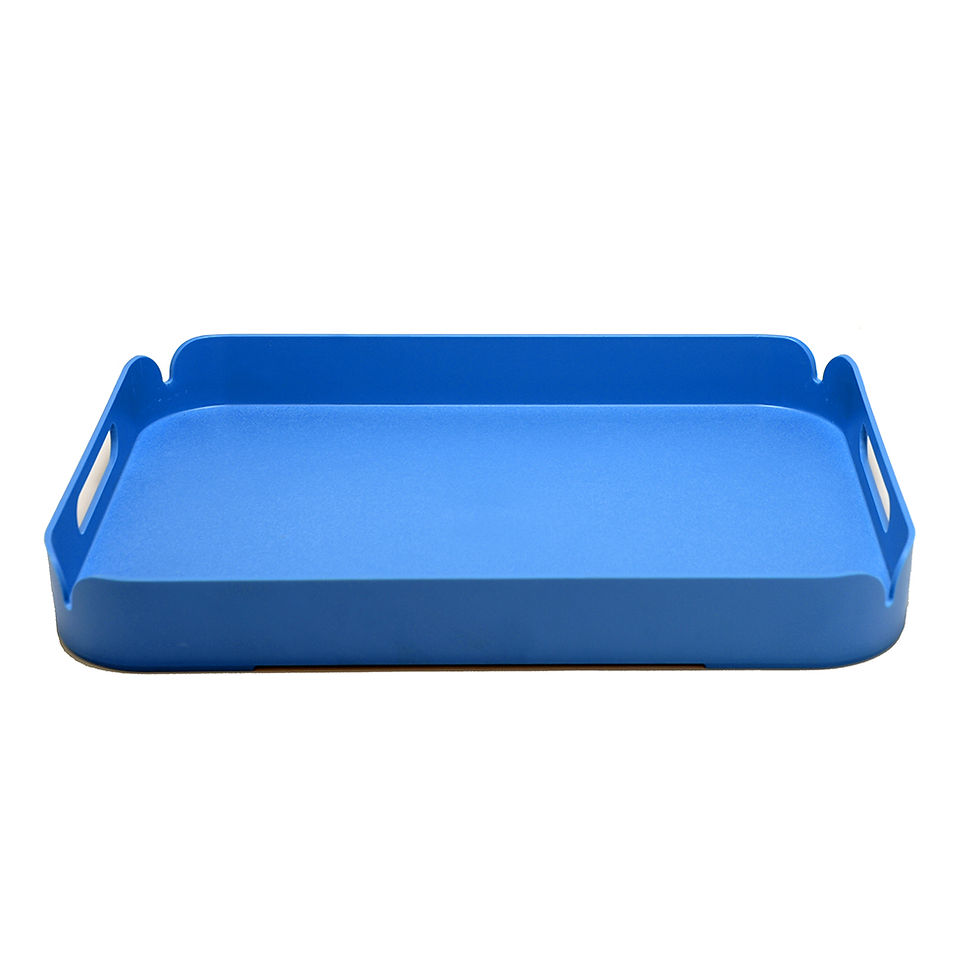 Blue Plastic Tray | mricebucket