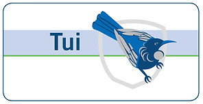 Taupaki Primary School