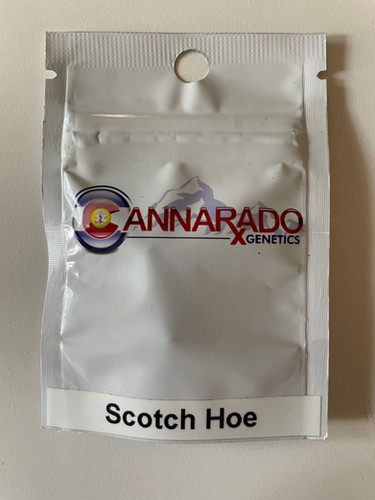 Scotch Hoe | Bread & Butta Seeds