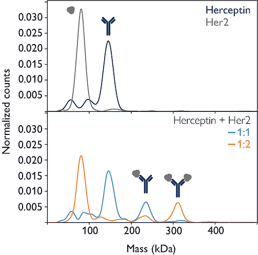 Antibody characterization with mass photometry | Refeyn