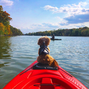 Outdoors | St. Charles, Illinois | St. Charles Business Alliance