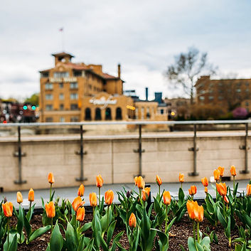 Seasons | St. Charles, IL | St. Charles Business Alliance