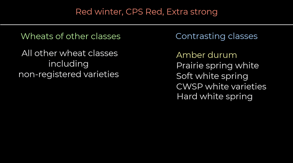 Wheat Grading Course | The Grading Bench
