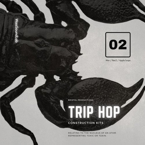 Trip Hop 2 | WaaSoundLabStore