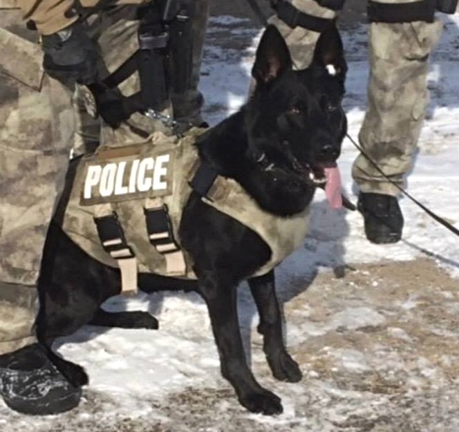 police k9 training and sales