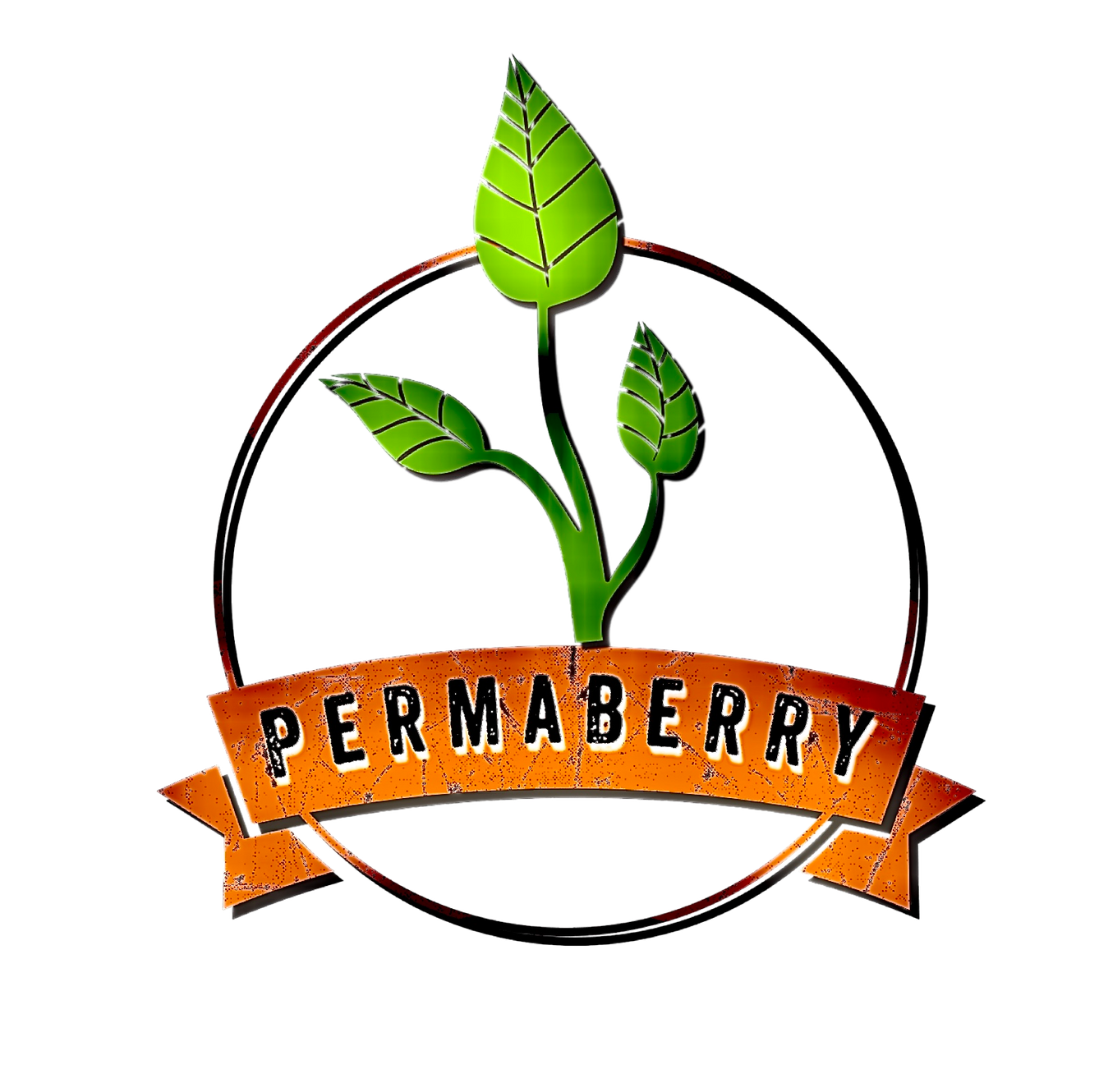 PermaBerry | Indre, France | Permaculture