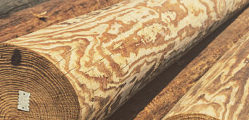 Wood Preservation | ASGChemie