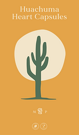 Benefits + Blends | Mycology Psychology