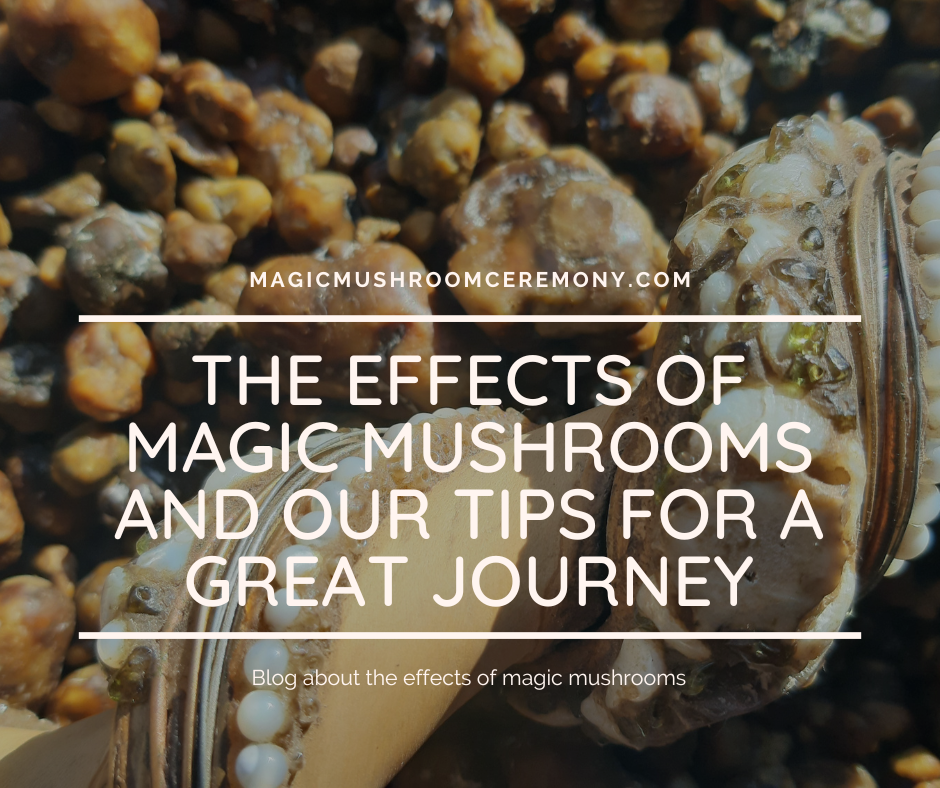 The effects of magic mushrooms - Our tips for a great journey