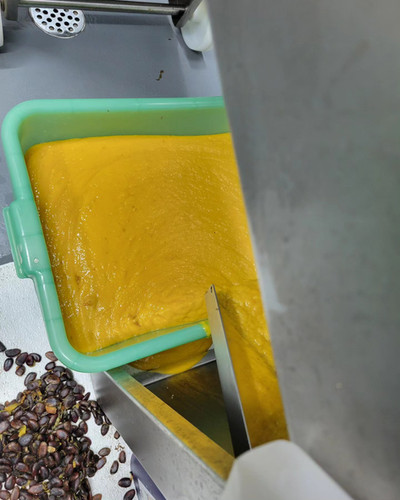 Frozen Pureed Pulp | Berries and Flour