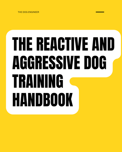 The guide that every reactive and aggresive dog owner needs | De Honden ...