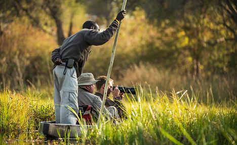 SMALL GROUP | Trai Anfield Wildlife Photography & Videography Safari