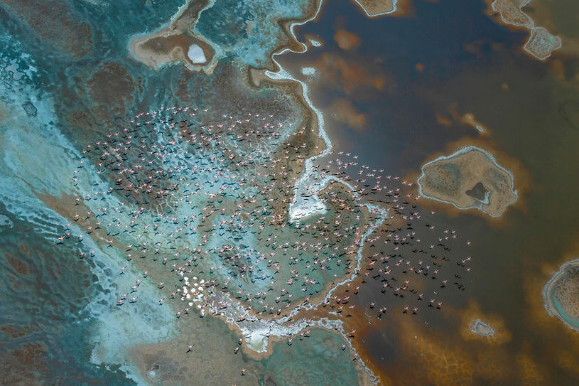 Kenya Super Creative Photography Safari Mara Migration-Naboisho ...