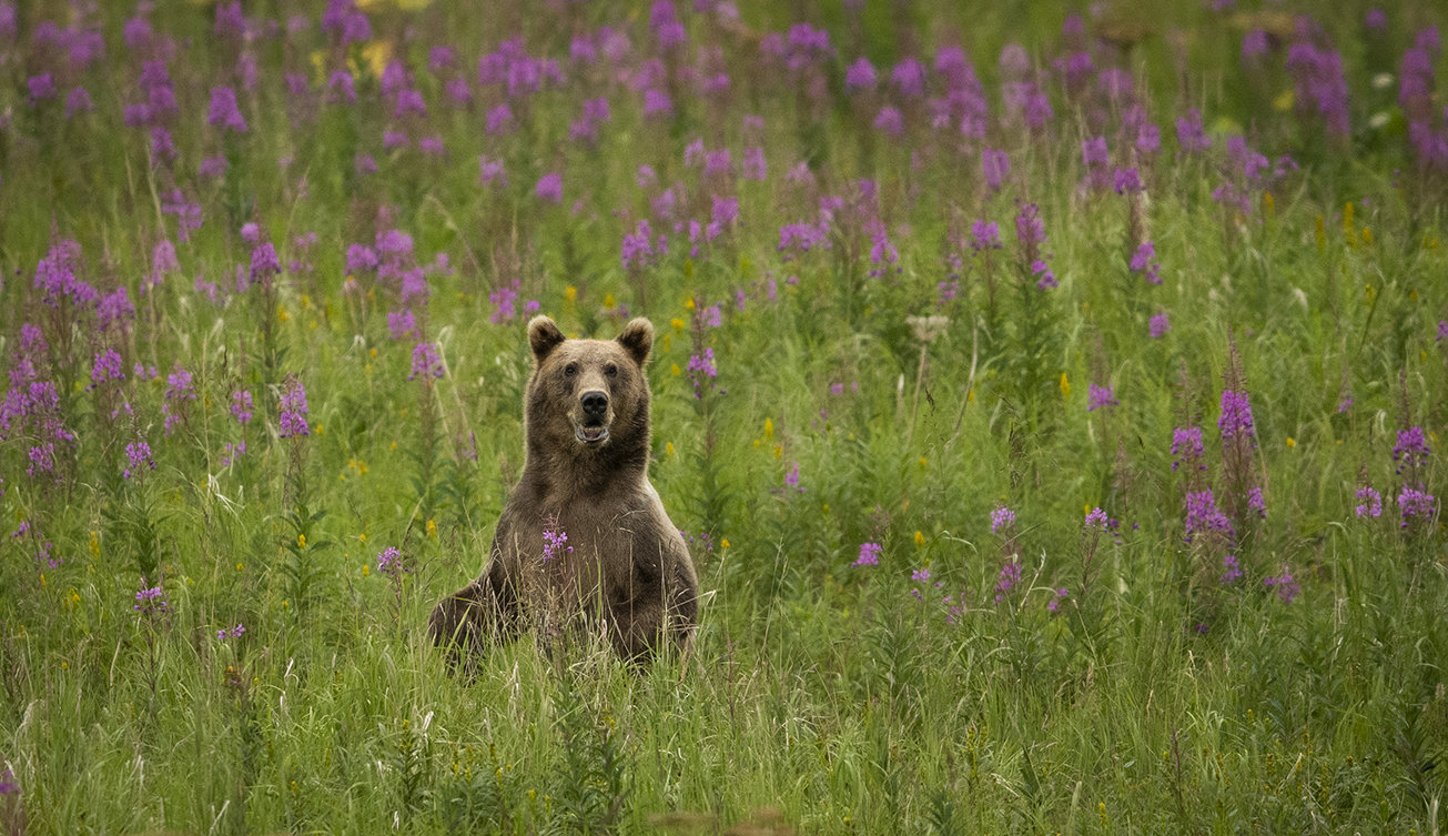 Contact Trai Anfield Photography & Enlightened Media England