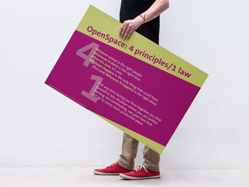 OpenSpace: 4 principles/1 law (A1 poster) | Red42