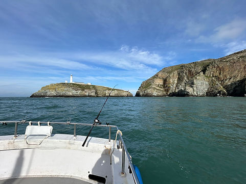 Anglesey Fishing & Boat Trips | Holyhead Marina, Isle of Anglesey ...
