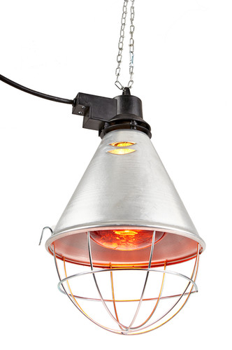 Heat Lamp & 250W Bulb | Fairfield Supplies