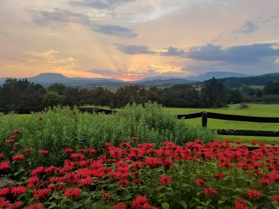 Sunday Service | Mysite