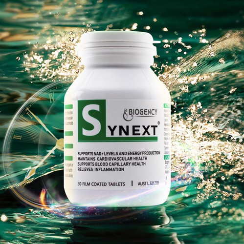 SYNEXT | The Nez Store