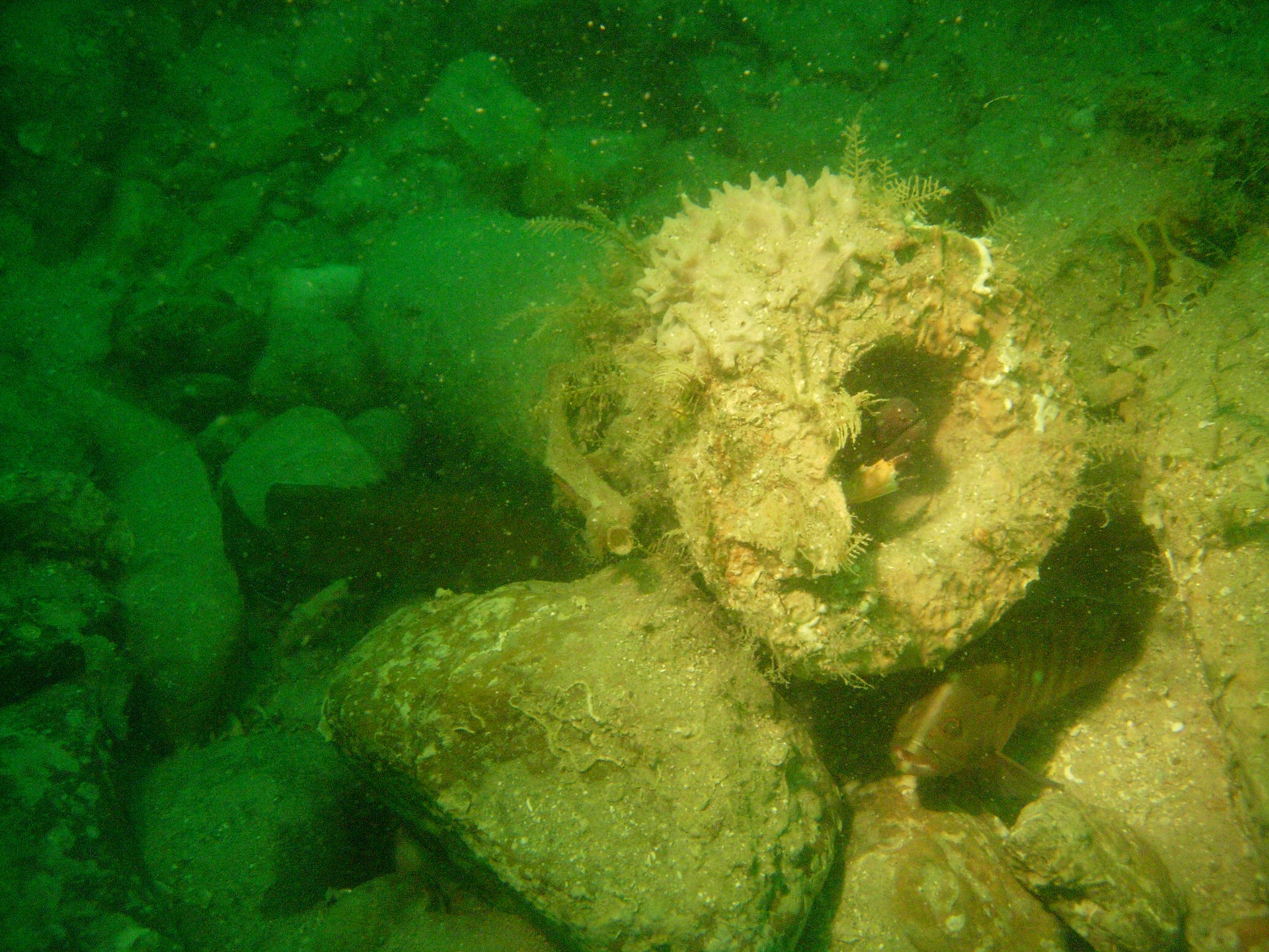 M1J Wreck | Maritimeexplorations