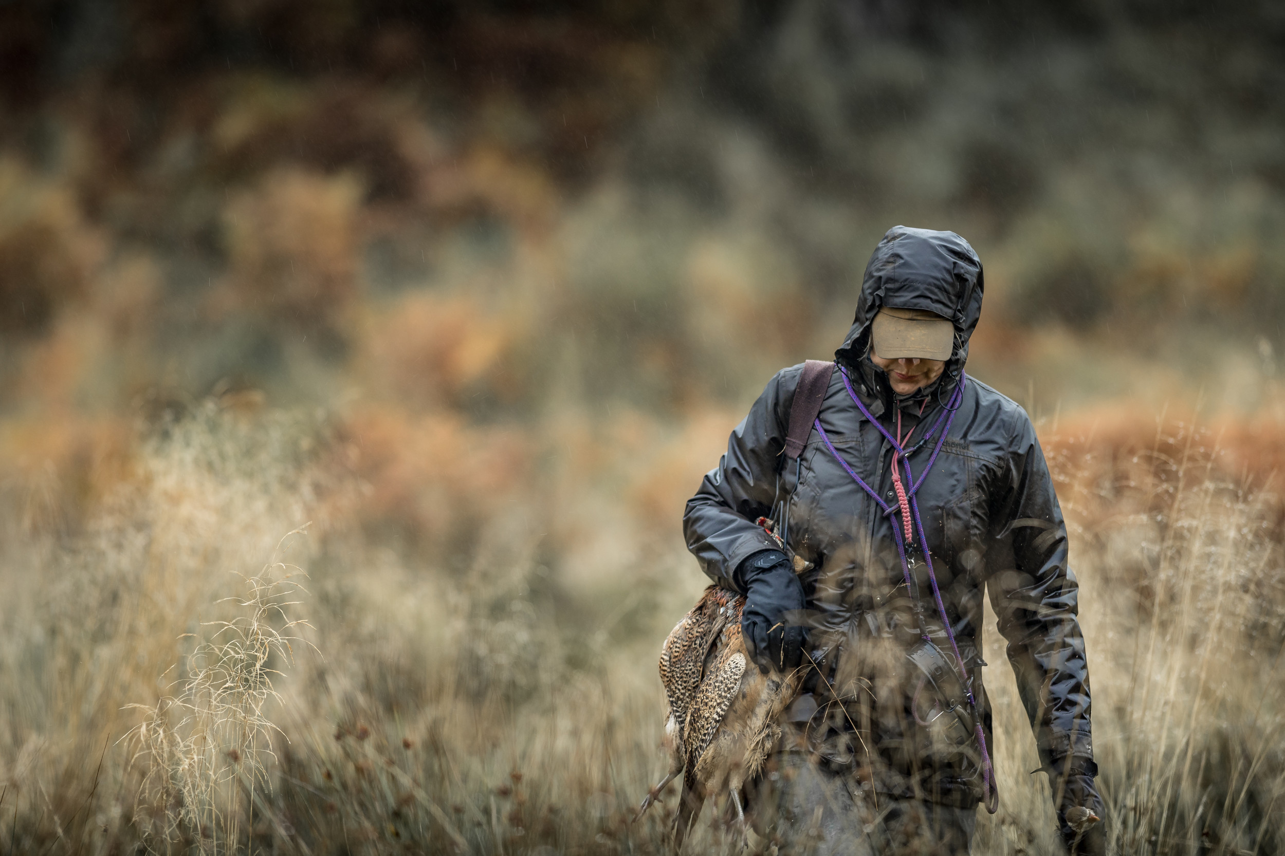 Field Sports Photography | Walking Gun Field Sports Photography | England
