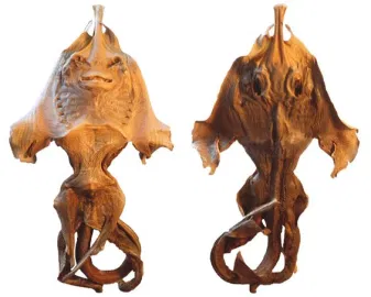 The Executed: Clones, Doubles, & Vril Lizard Reptilian Parasites