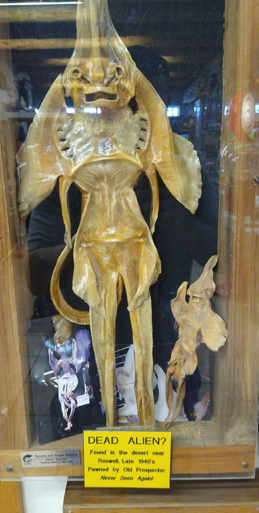 The Executed: Clones, Doubles, & Vril Lizard Reptilian Parasites