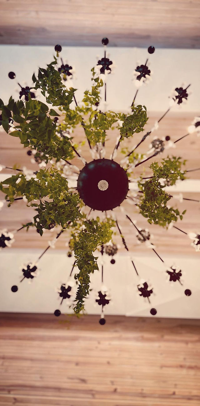 elysian fields vineyard