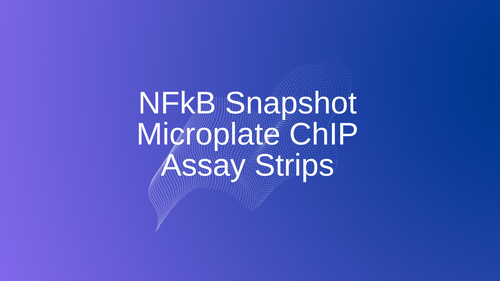 NFkB Snapshot Microplate ChIP Assay Strips | Signosis
