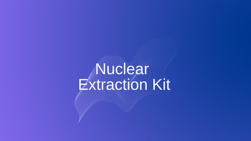 Nuclear Extraction Kit | Signosis