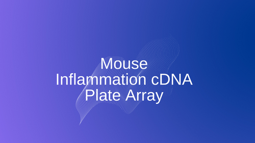 Mouse Inflammation cDNA Plate Array | Signosis